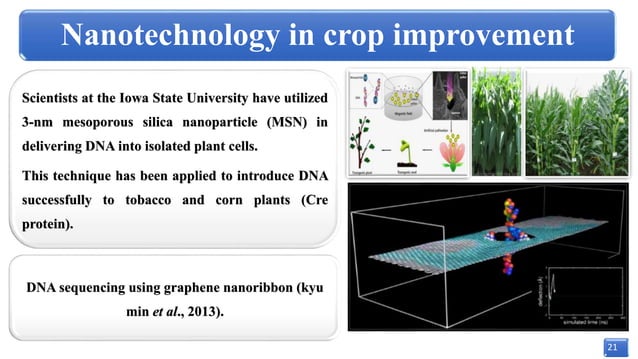 Nanotechnology and its Applications in Agriculture | PPTX