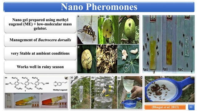 Nanotechnology and its Applications in Agriculture | PPTX