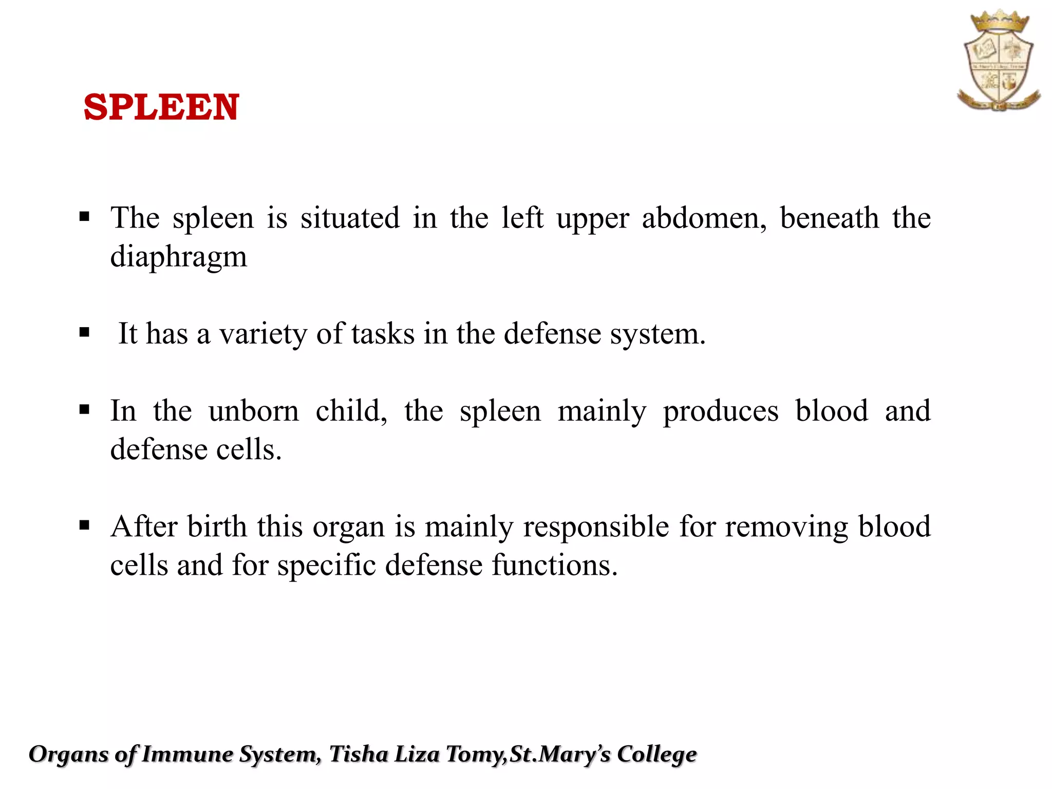 Biotechnology:Organs Of Immune System | PPTX