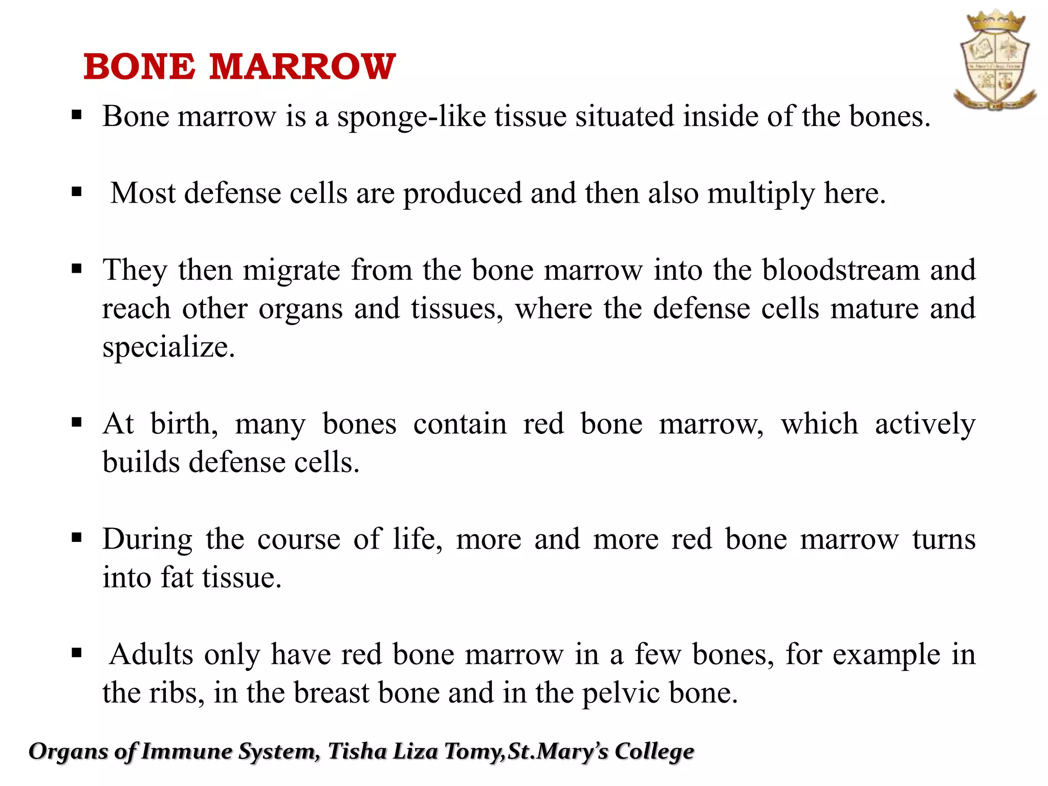 Biotechnology:Organs Of Immune System | PPTX
