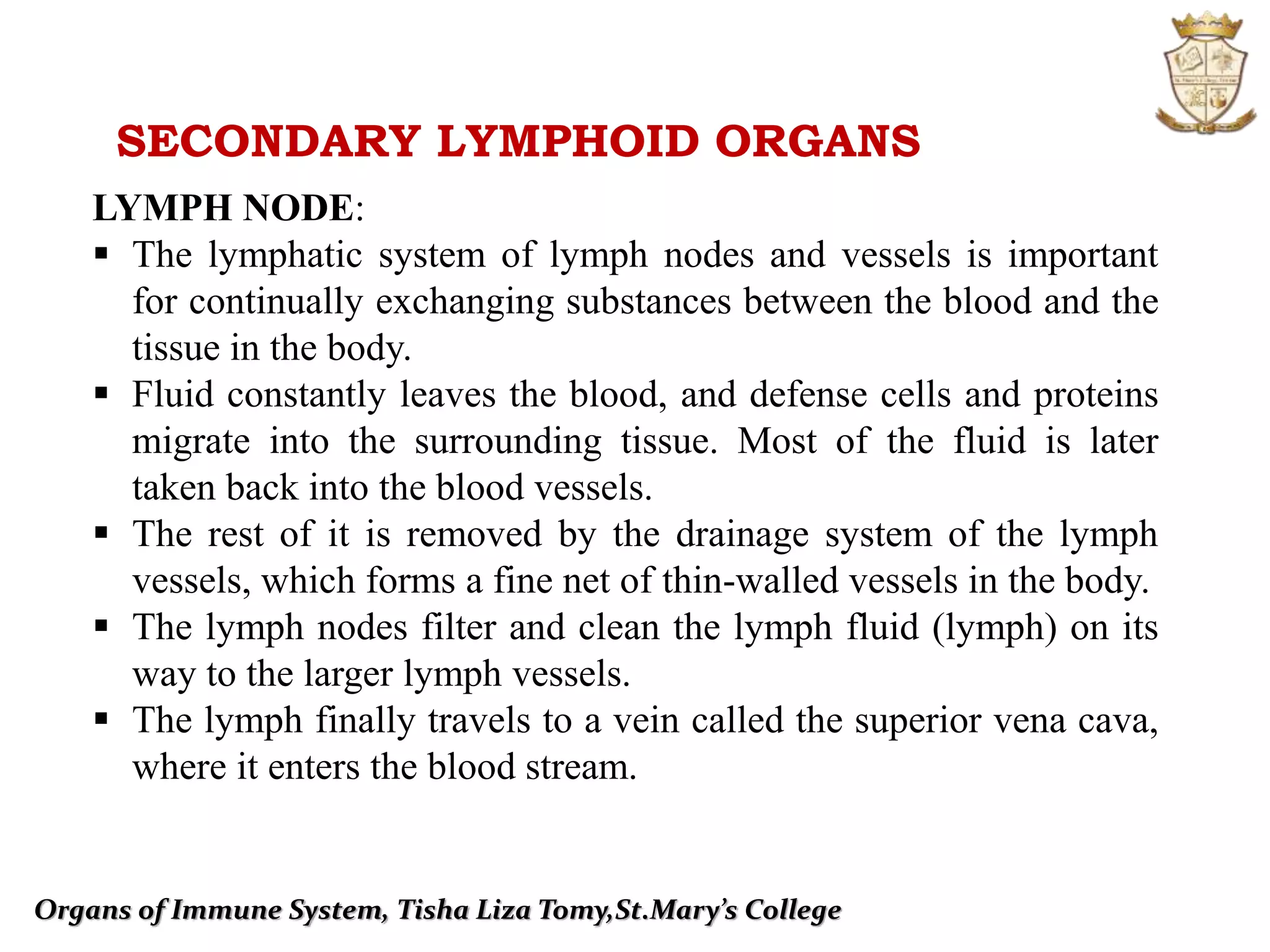 Biotechnology:Organs Of Immune System | PPTX