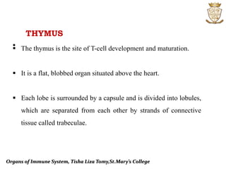 Biotechnology:Organs Of Immune System | PPTX