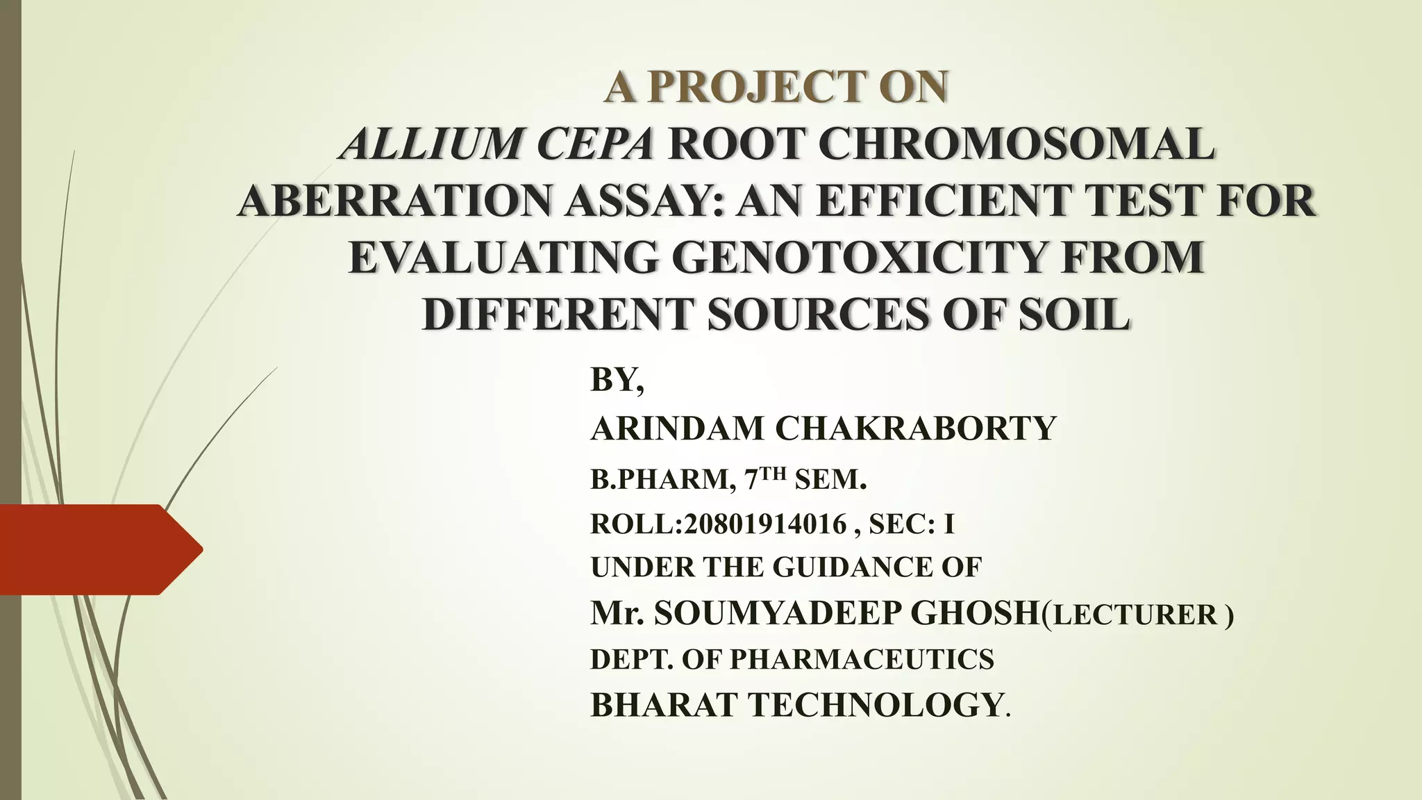 ALLIUM CEPA ROOT CHROMOSOMAL ABERRATION ASSAY: AN EFFICIENT TEST FOR ...