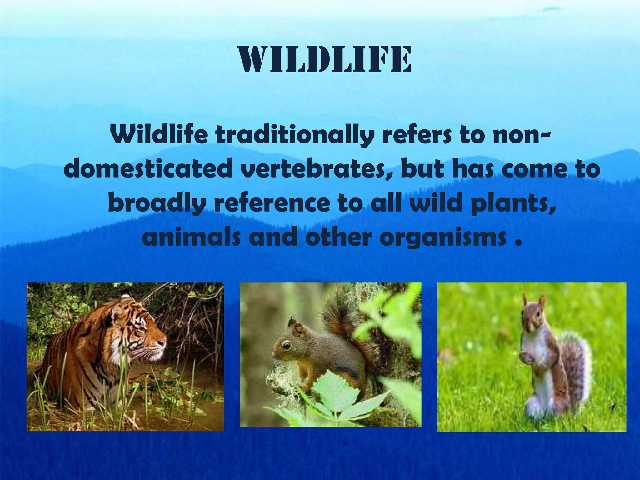 Ppt on natural vegetation and wildlife by Gursimran Singh | PPTX