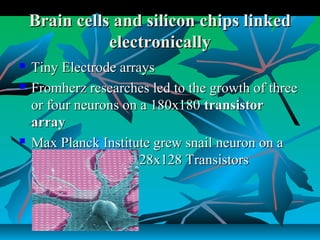 BRAIN CHIPS | PPT