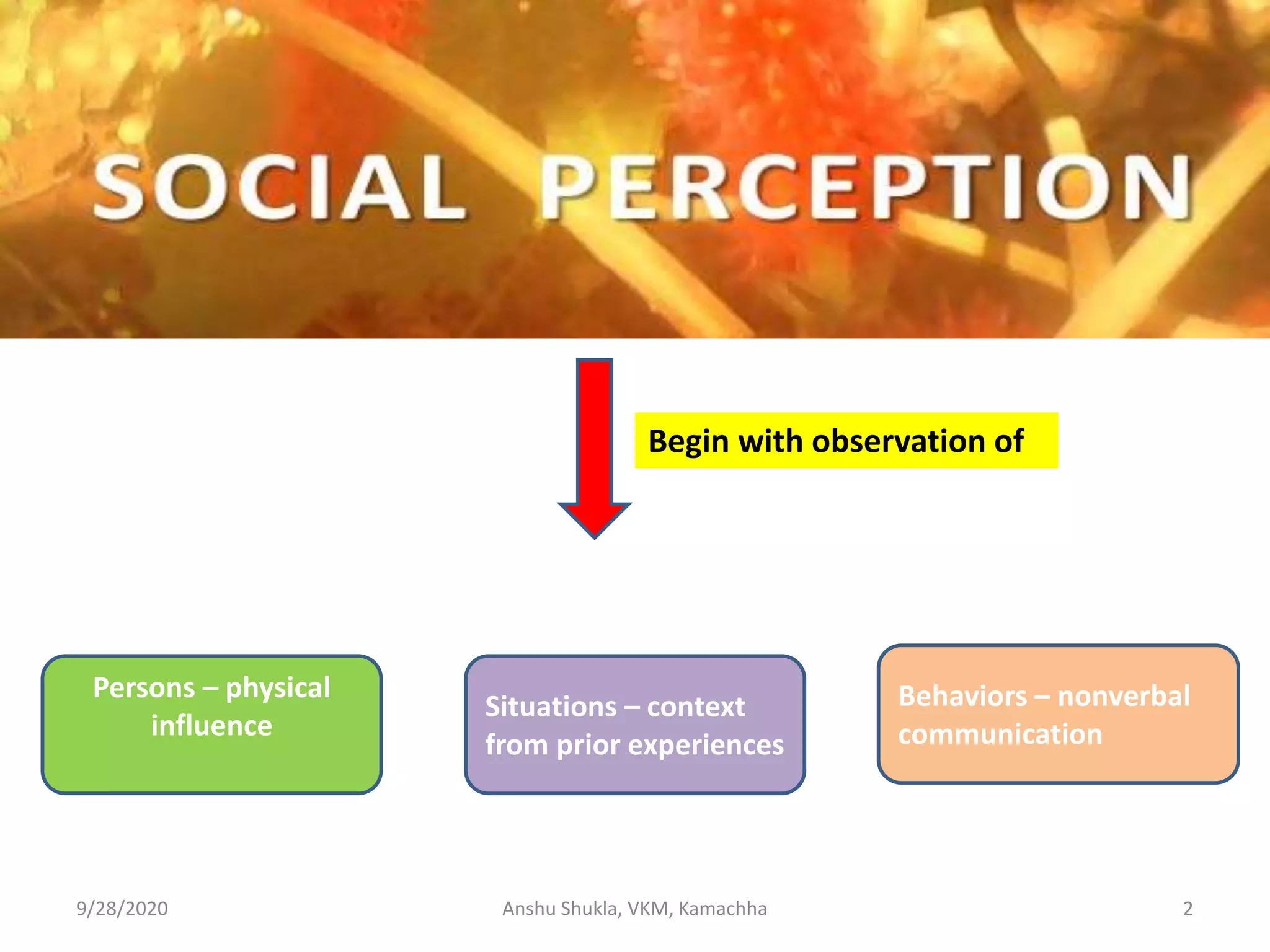Social Perception of Health & Nutrition | PPTX | Food & Drink