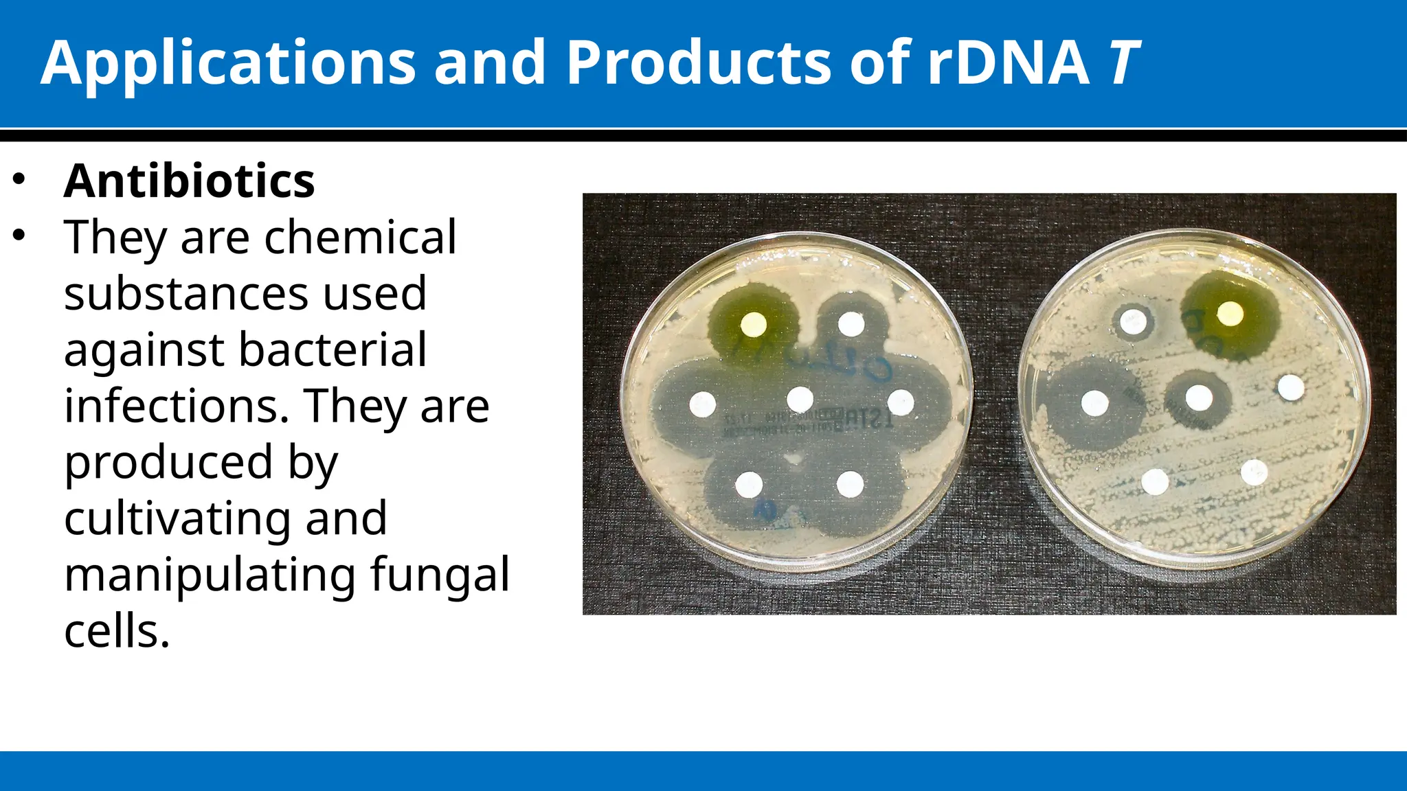 PPT2 Applications of rDNA gen bio2..pptx