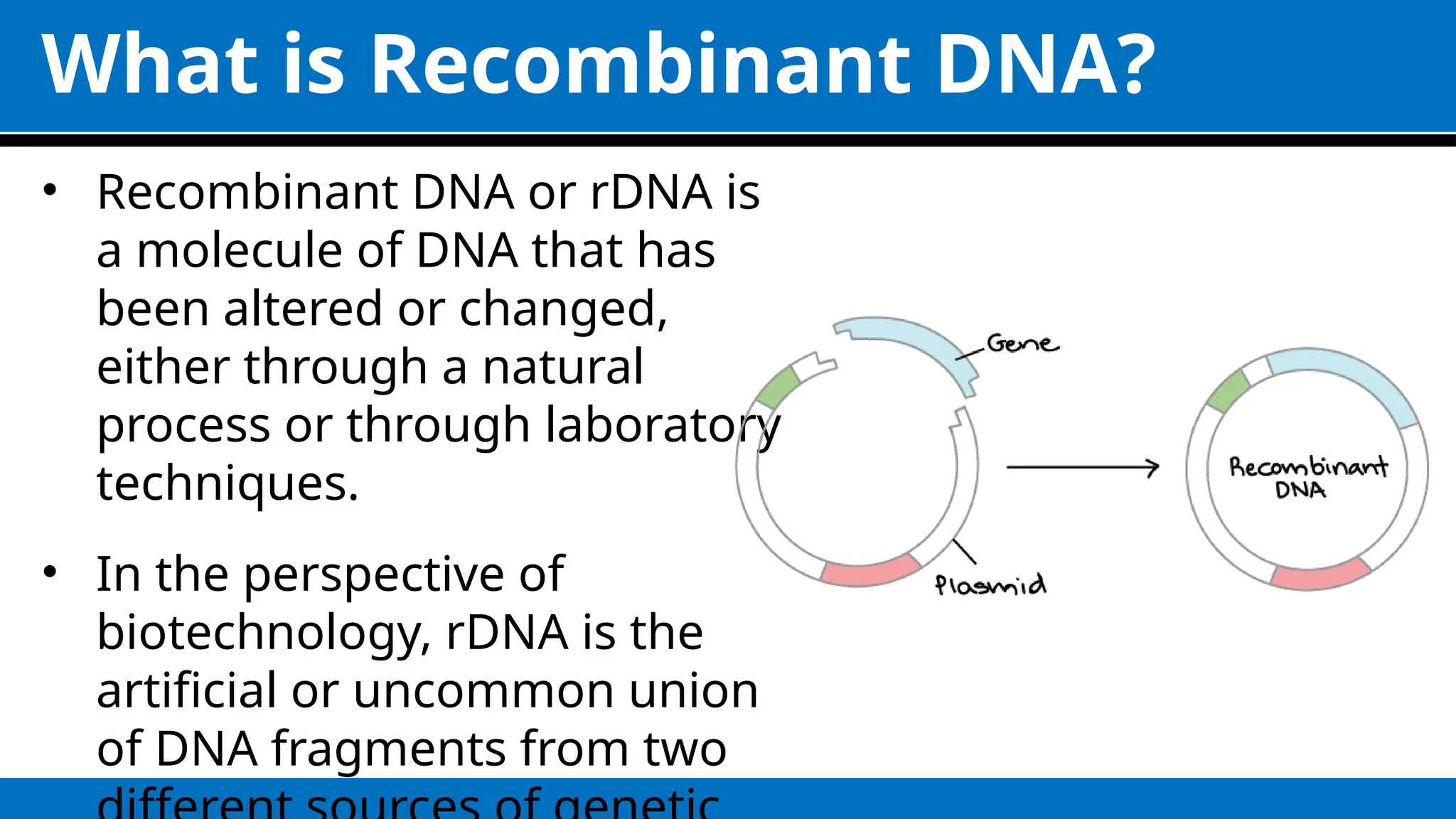 PPT2 Applications of rDNA gen bio2..pptx