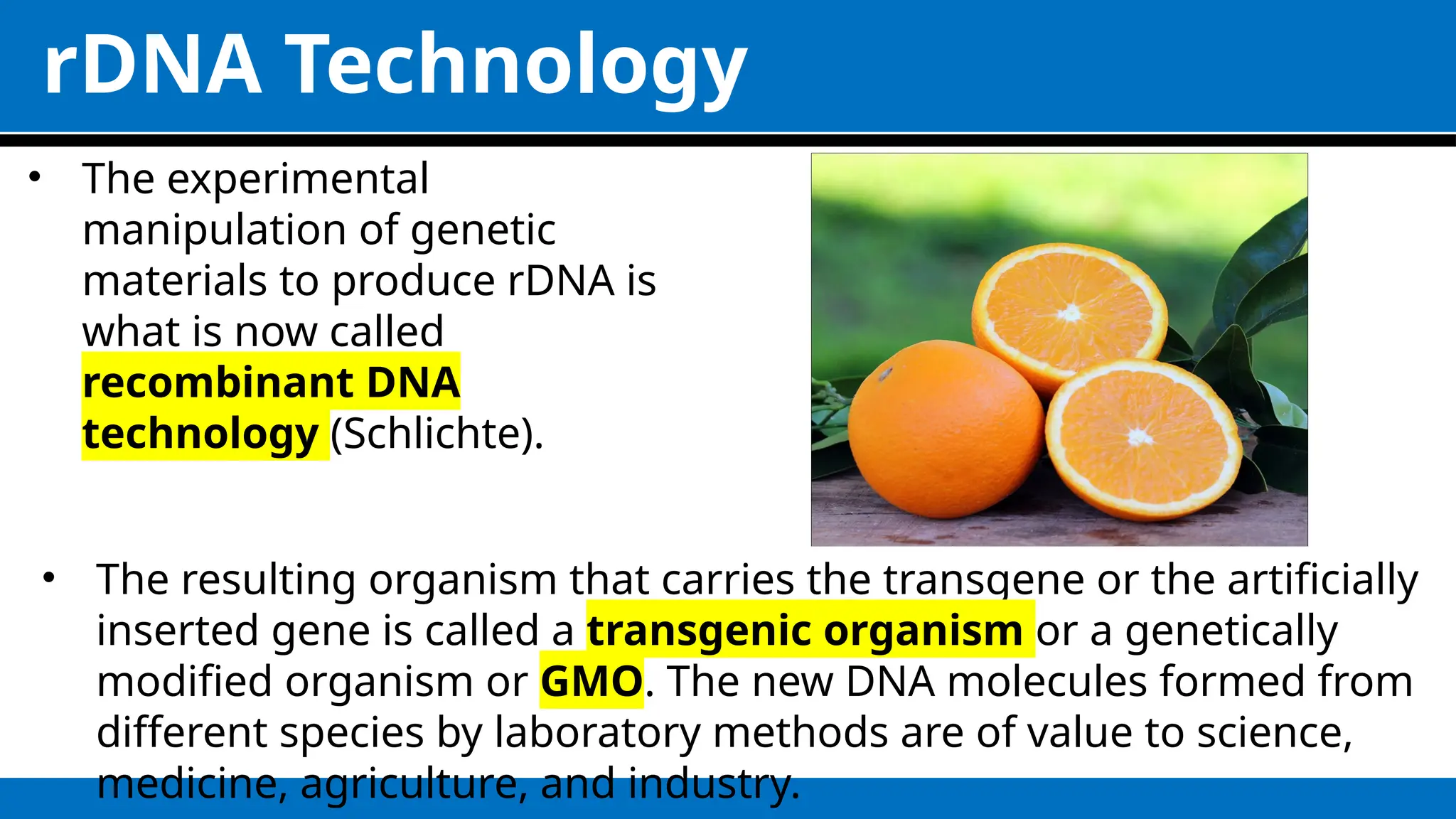 PPT2 Applications of rDNA gen bio2..pptx
