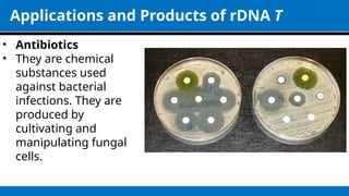 PPT2 Applications of rDNA gen bio2..pptx