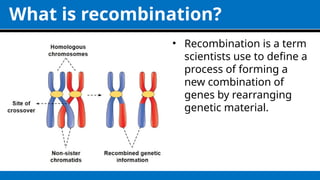 PPT2 Applications of rDNA gen bio2..pptx