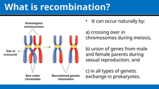 PPT2 Applications of rDNA gen bio2..pptx