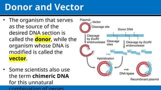 PPT2 Applications of rDNA gen bio2..pptx