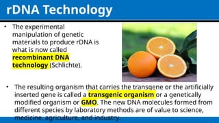 PPT2 Applications of rDNA gen bio2..pptx