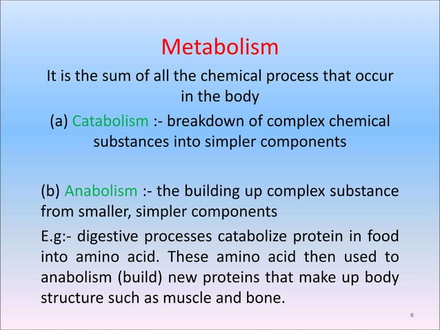basic life process | PPT
