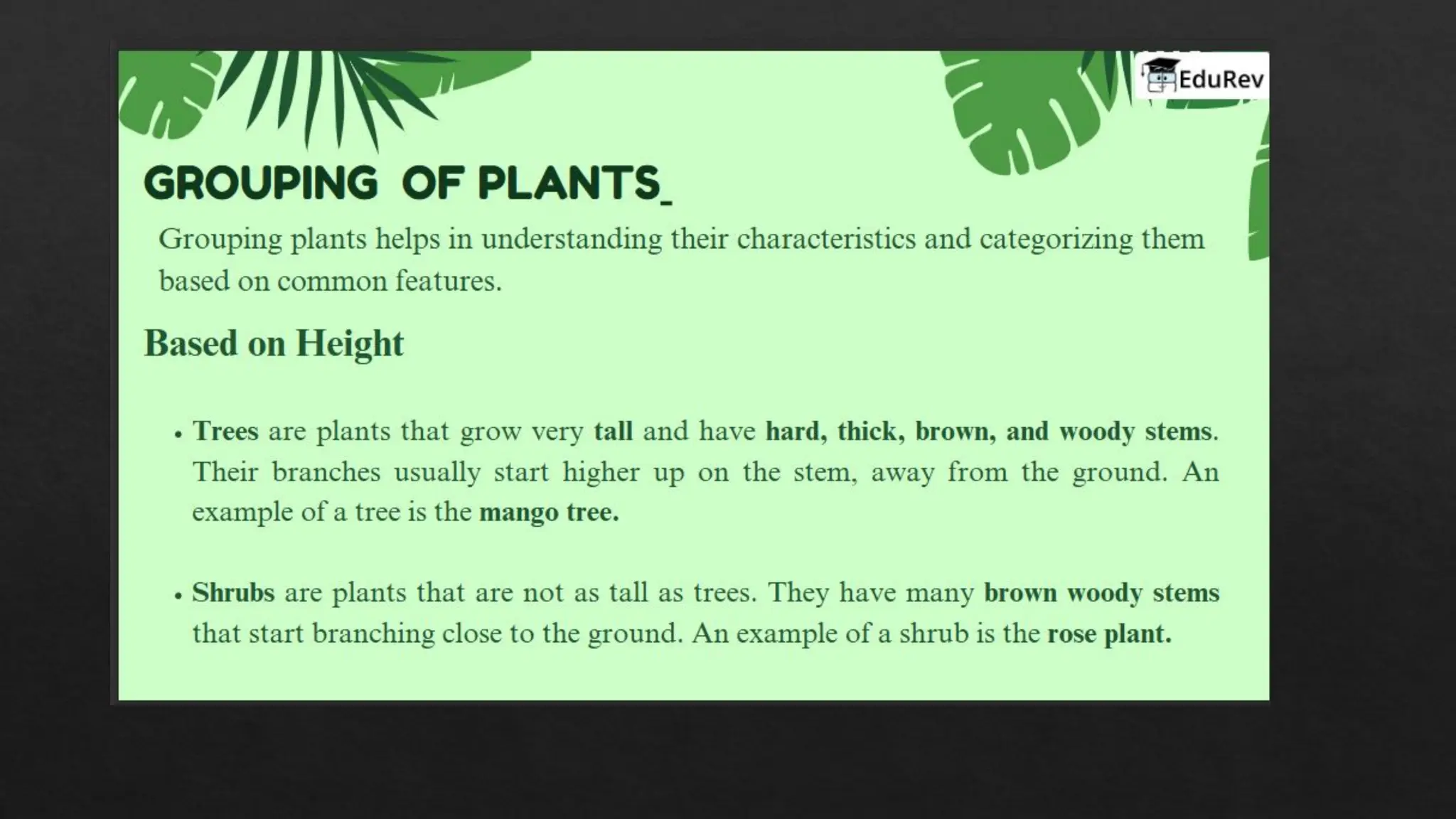 PPT 2 Diversity (Types of plants ,roots,seeds and shoot system).pdf