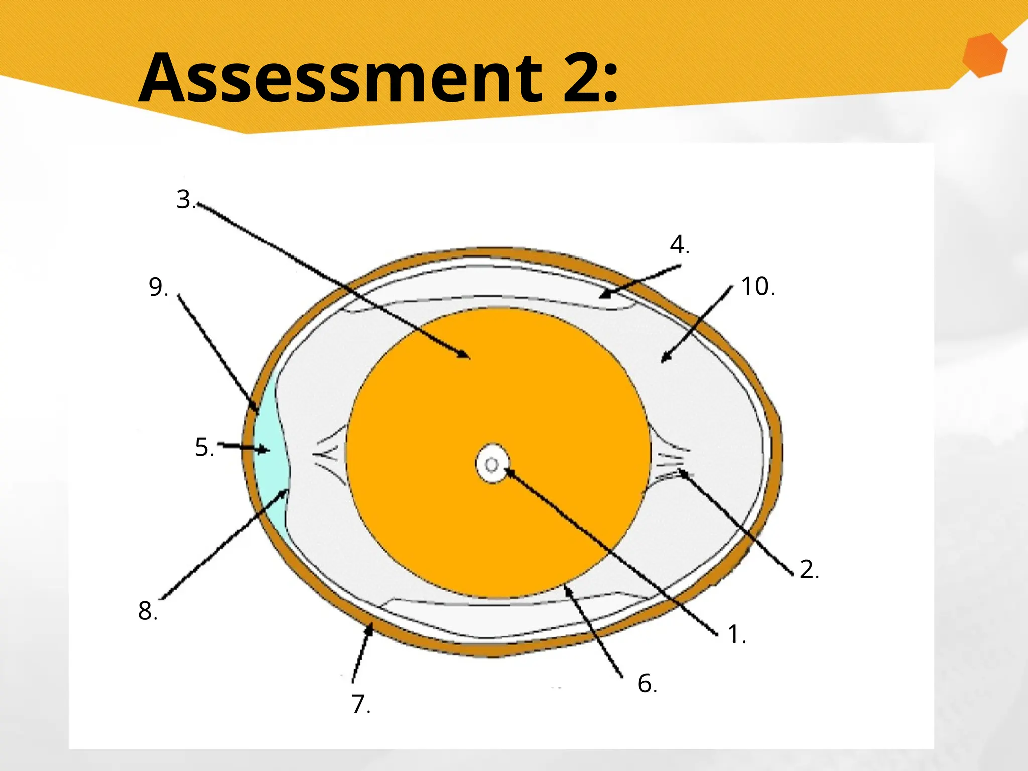 PPT Lesson 2 tle 10 Egg Structure.pptx
