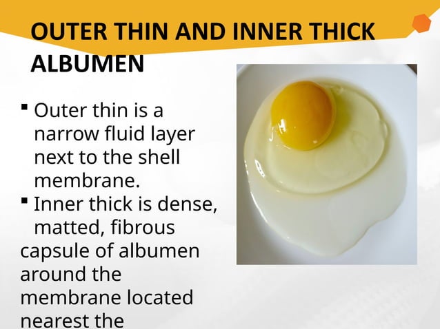 PPT Lesson 2 tle 10 Egg Structure.pptx | Chemistry | Science