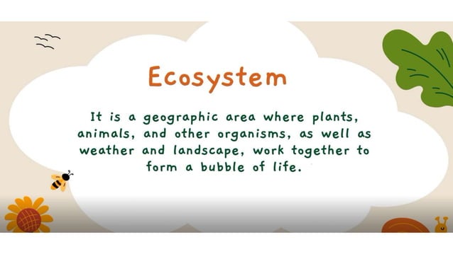 Differentiating Biotic and Abiotic Component | PPT