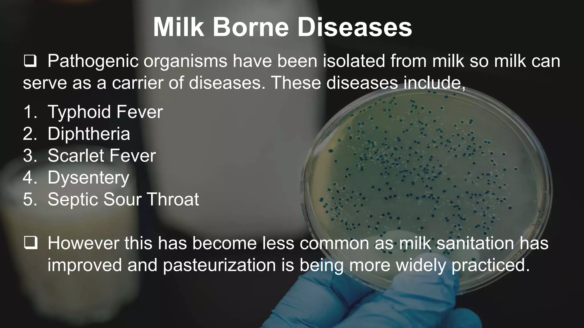 Microbiology of Dairy Products | PPTX | Chemistry | Science