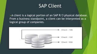 SAP Overview and Architecture | PPTX