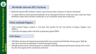 Genetically modified seeds and the regulation | PPTX
