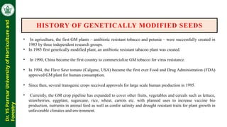 Genetically modified seeds and the regulation | PPTX