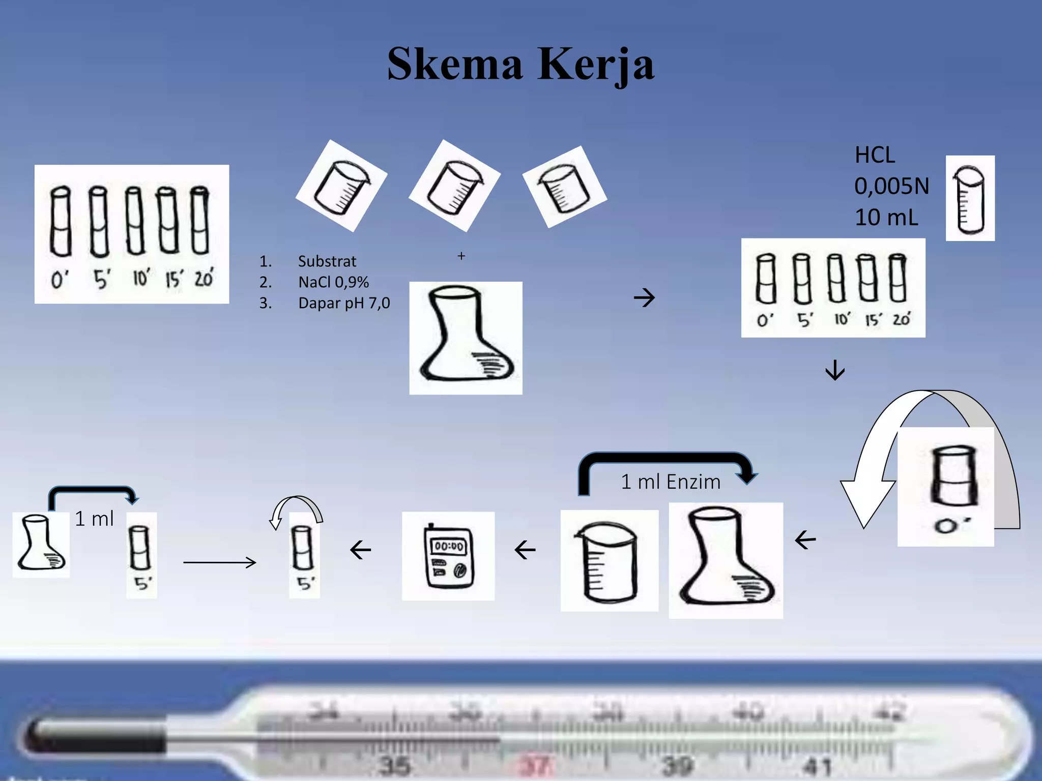 pengaruh suhu terhadap reakzi enzimatik | PPTX