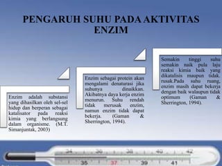 pengaruh suhu terhadap reakzi enzimatik | PPTX
