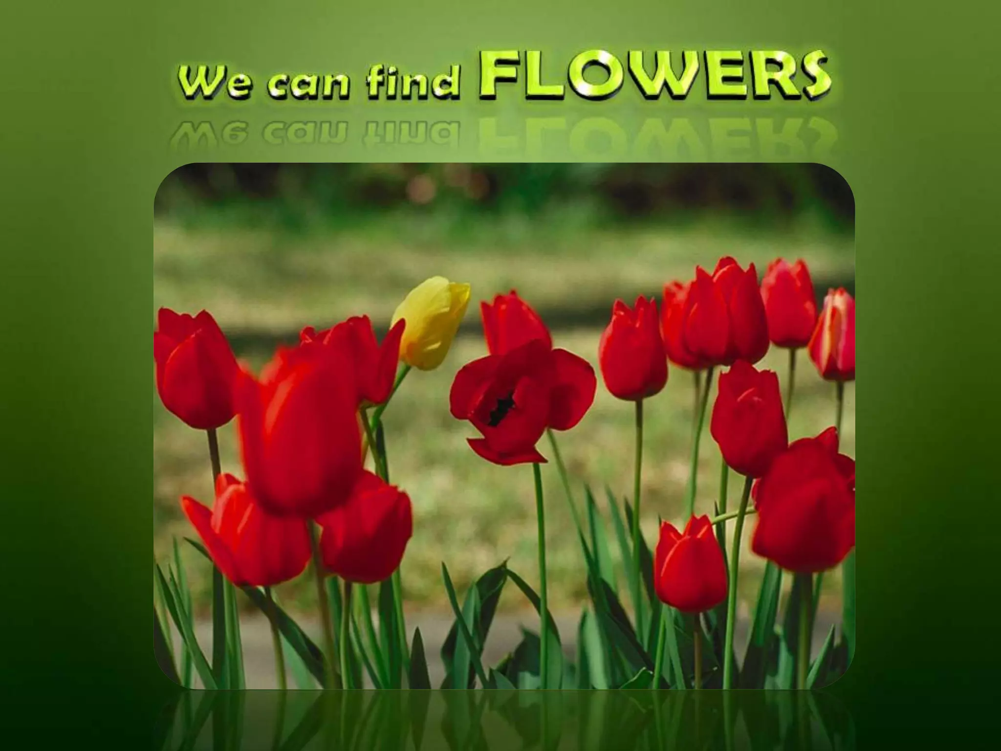 PPT LANDSCAPE (PART 2) PARTS OF THE TREE AND PARTS OF THE FLOWER | PPT