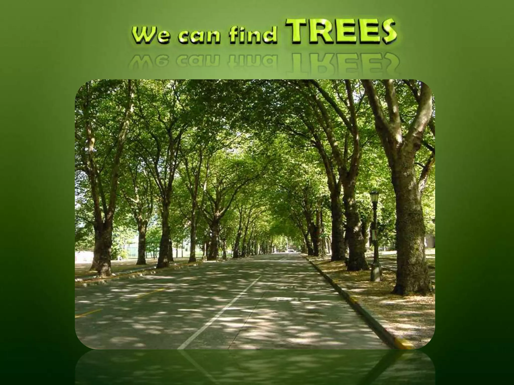 PPT LANDSCAPE (PART 2) PARTS OF THE TREE AND PARTS OF THE FLOWER | PPTX