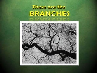 PPT LANDSCAPE (PART 2) PARTS OF THE TREE AND PARTS OF THE FLOWER | PPT