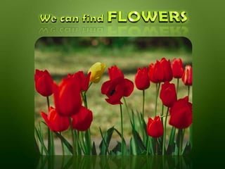 PPT LANDSCAPE (PART 2) PARTS OF THE TREE AND PARTS OF THE FLOWER | PPTX