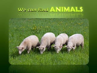 PPT LANDSCAPE (PART 2) PARTS OF THE TREE AND PARTS OF THE FLOWER | PPT