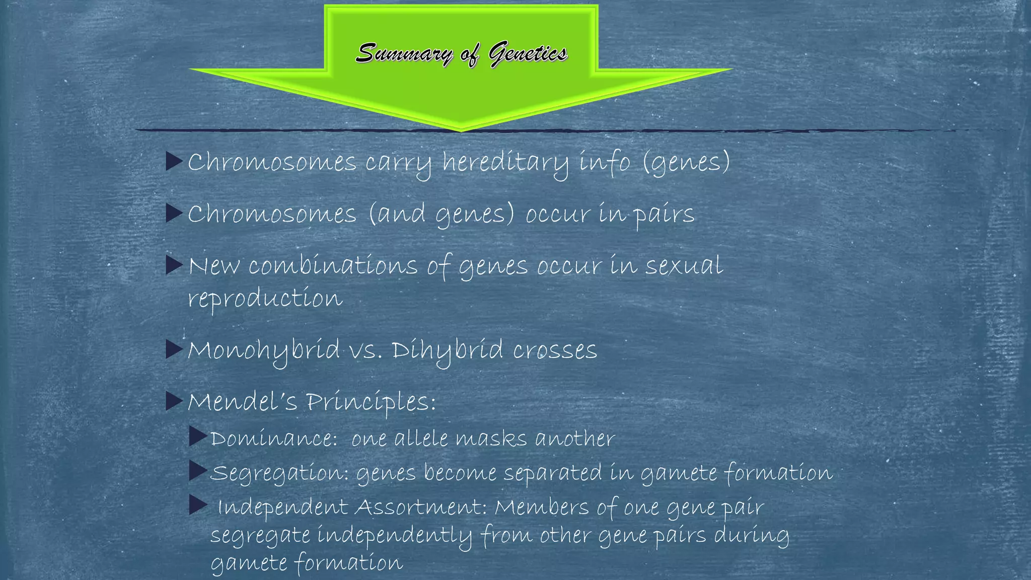 mendel laws of inheritance part 3 | PDF | Genetics | Science