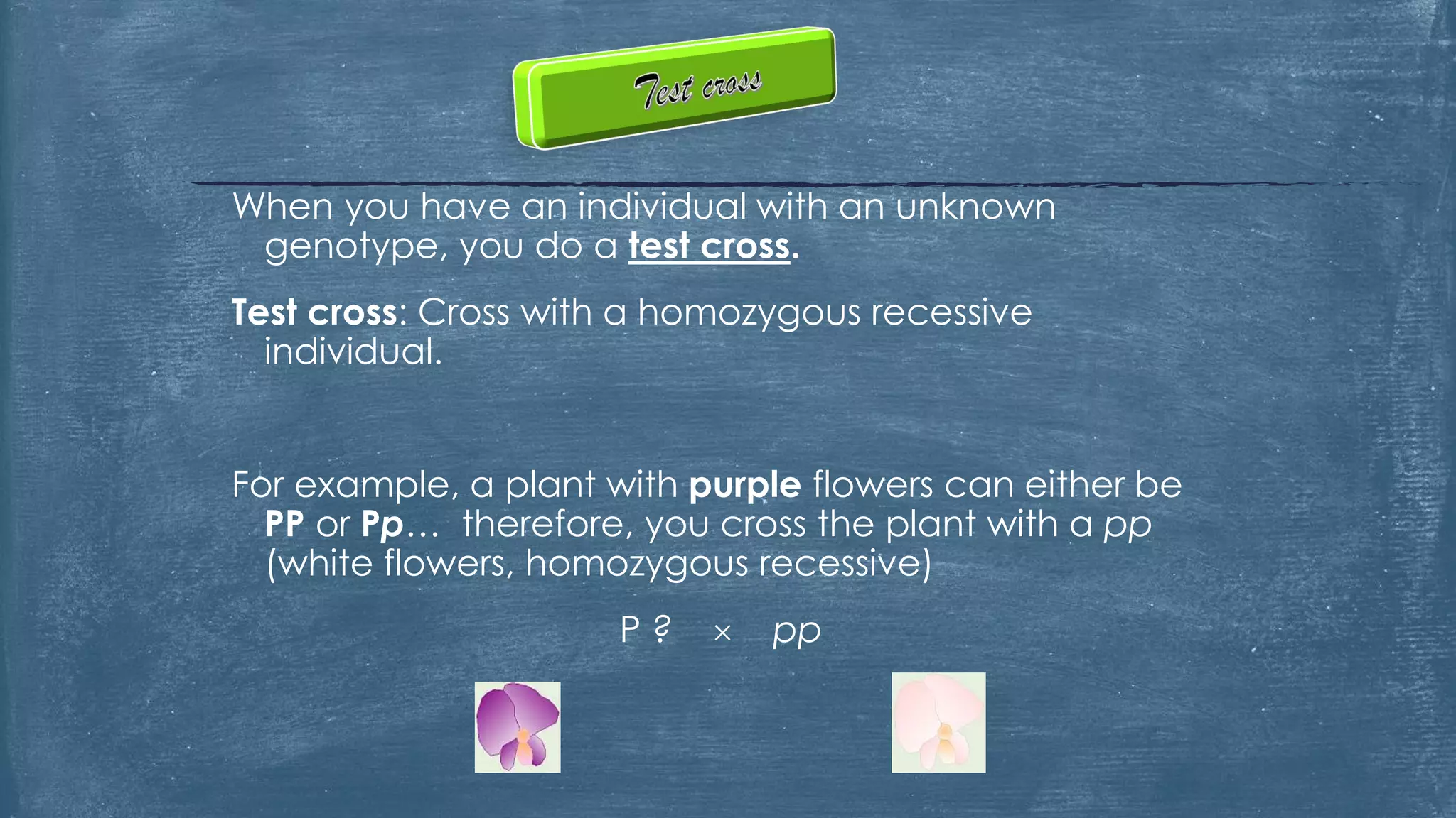Mendel Laws Of Inheritance Part 3 Pdf Genetics Science