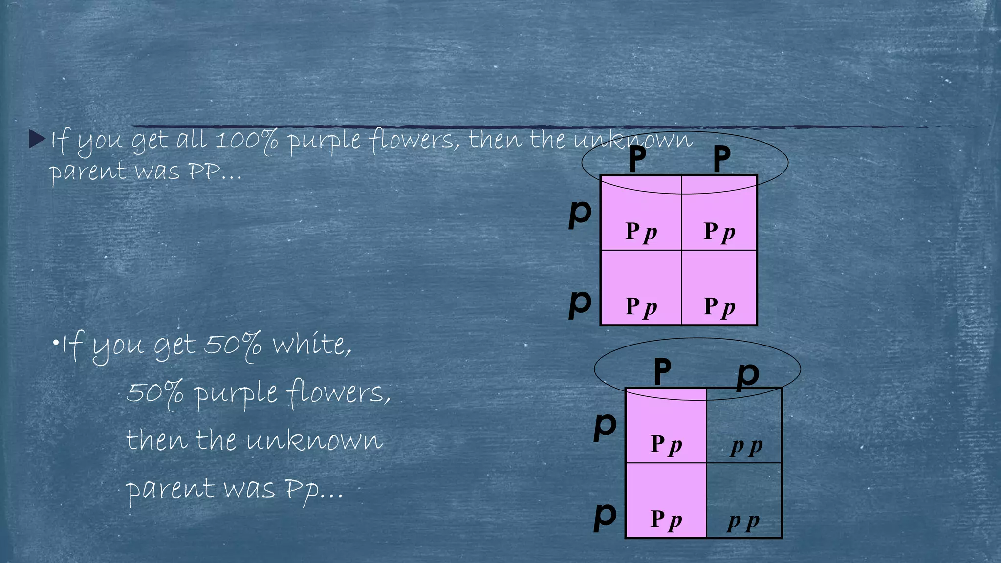 Mendel Laws Of Inheritance Part 3 Pdf Genetics Science
