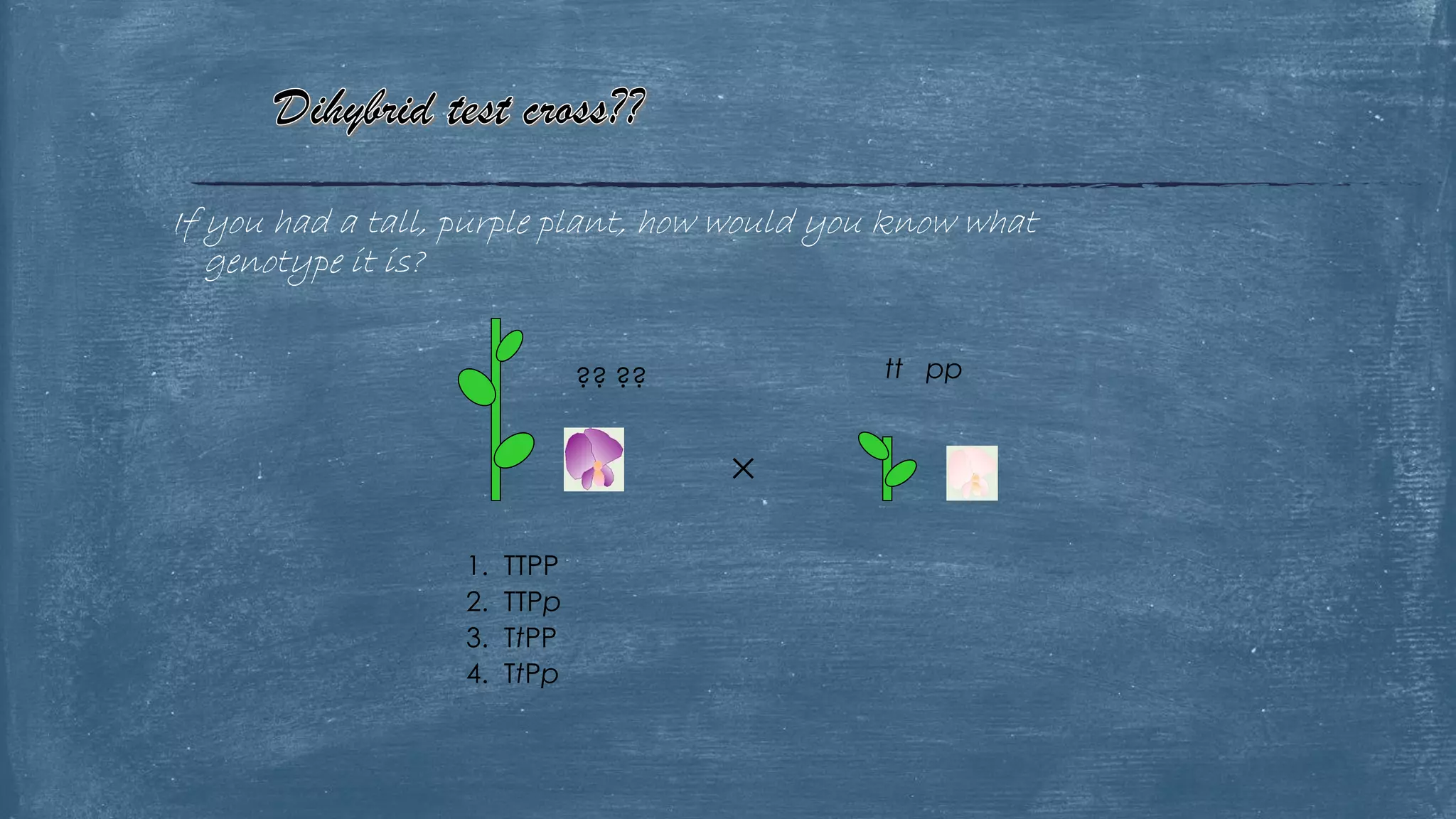 Mendel Laws Of Inheritance Part 3 Pdf Genetics Science