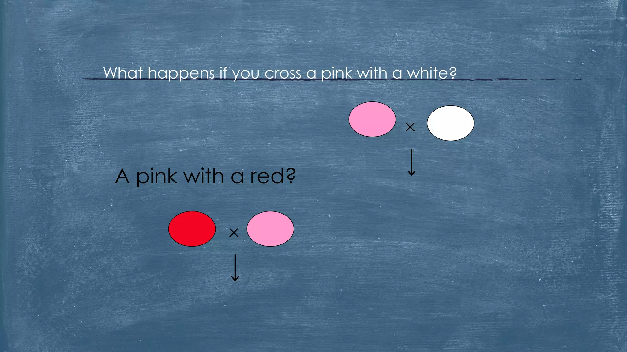 Mendel Laws Of Inheritance Part 3 Pdf Genetics Science