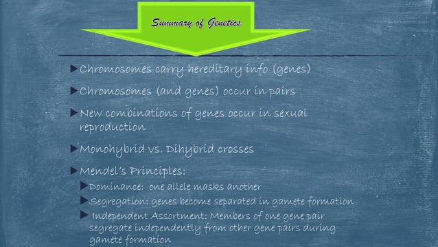 Mendel Laws Of Inheritance Part 3 Pdf Genetics Science