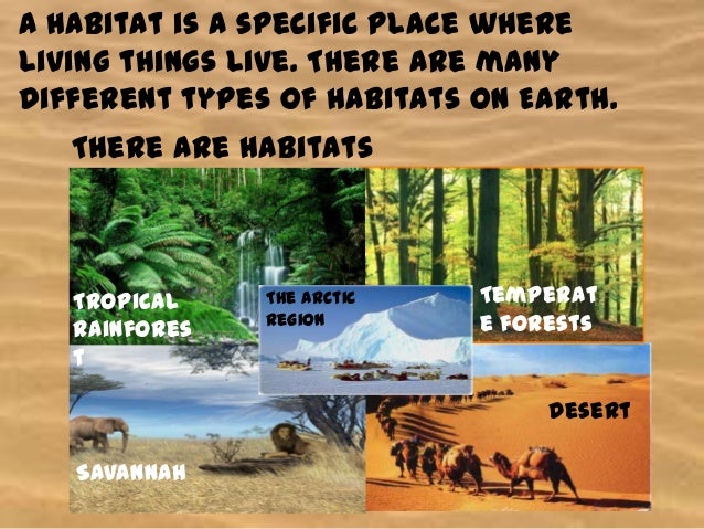 Different Habitat