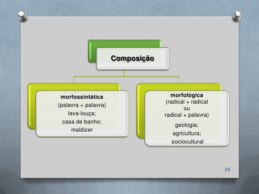 PPT3-Morfologia