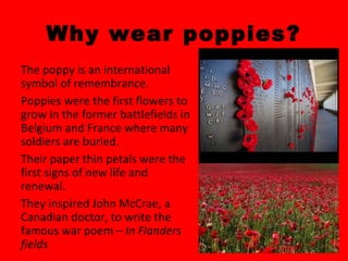 Rememberance Day | PPT