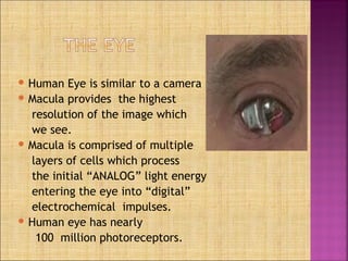 BIONIC EYE | PPT