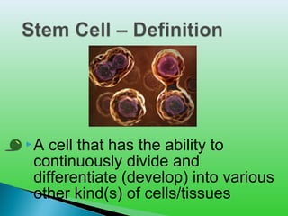 STEM CELL | PPT