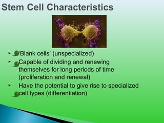 STEM CELL | PPT