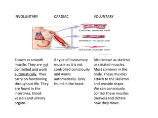 Ppt38 a.pptm [autosaved] | PPT