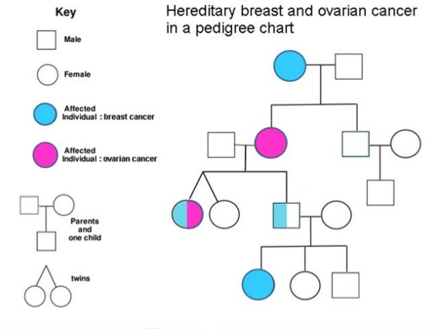 Breast Cancer, Ovarian Cancer and Prostate Cancer