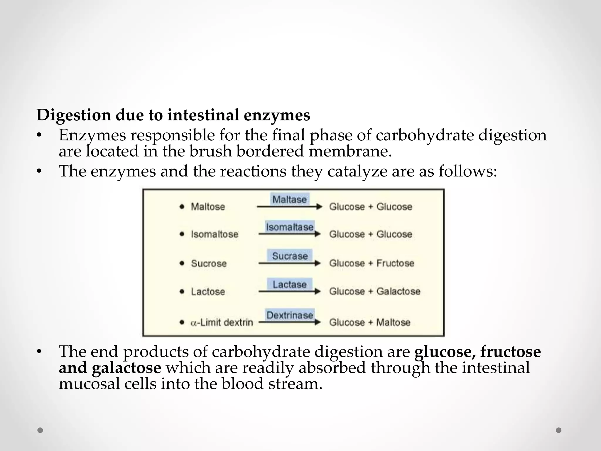 Digestion and Absorption of Carbohydrates- Biochemistry | PPTX