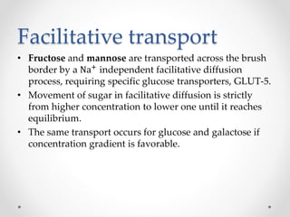 Digestion and Absorption of Carbohydrates- Biochemistry | PPTX